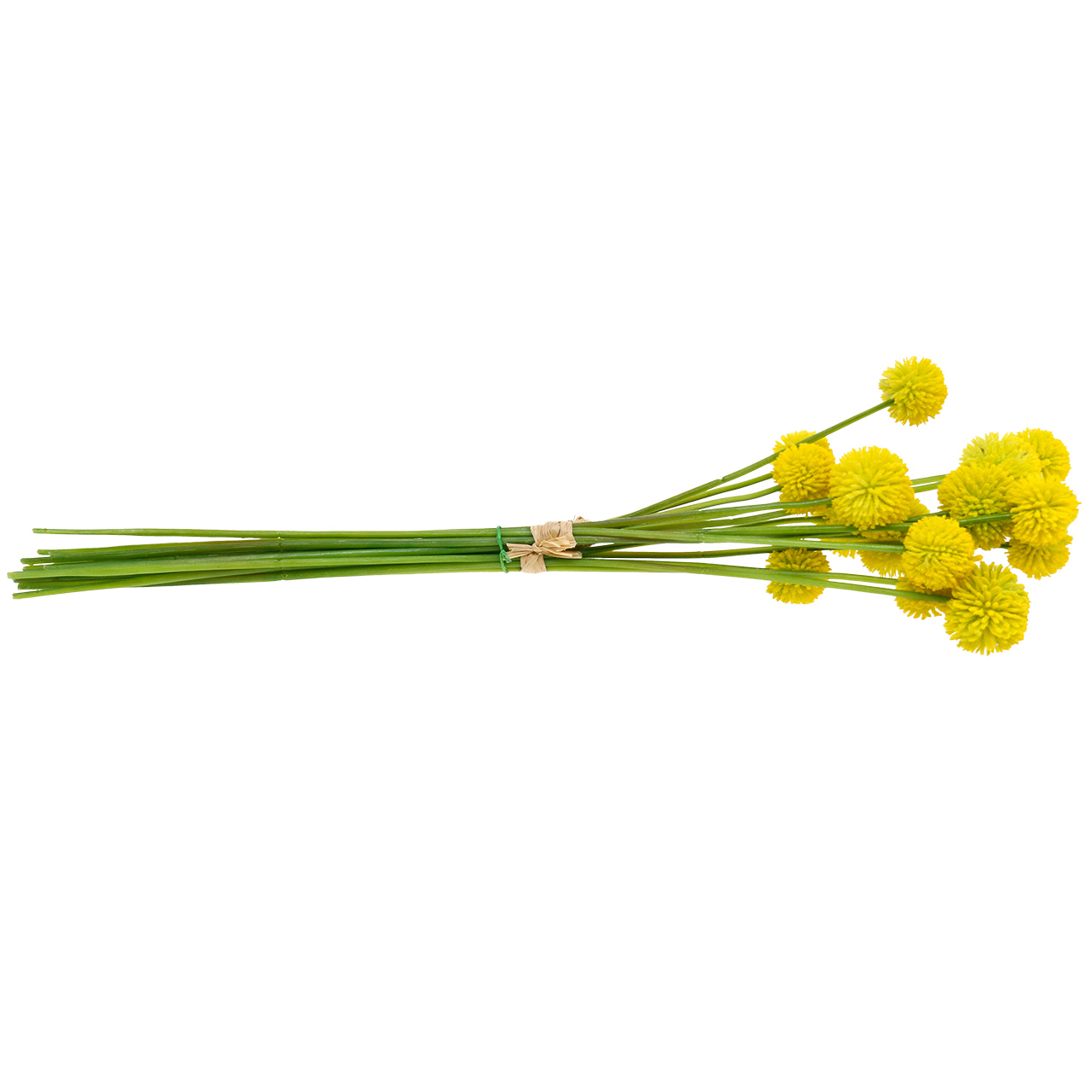 Floristik24.ie Drumsticks Craspedia Yellow Artificial Garden Flower ...