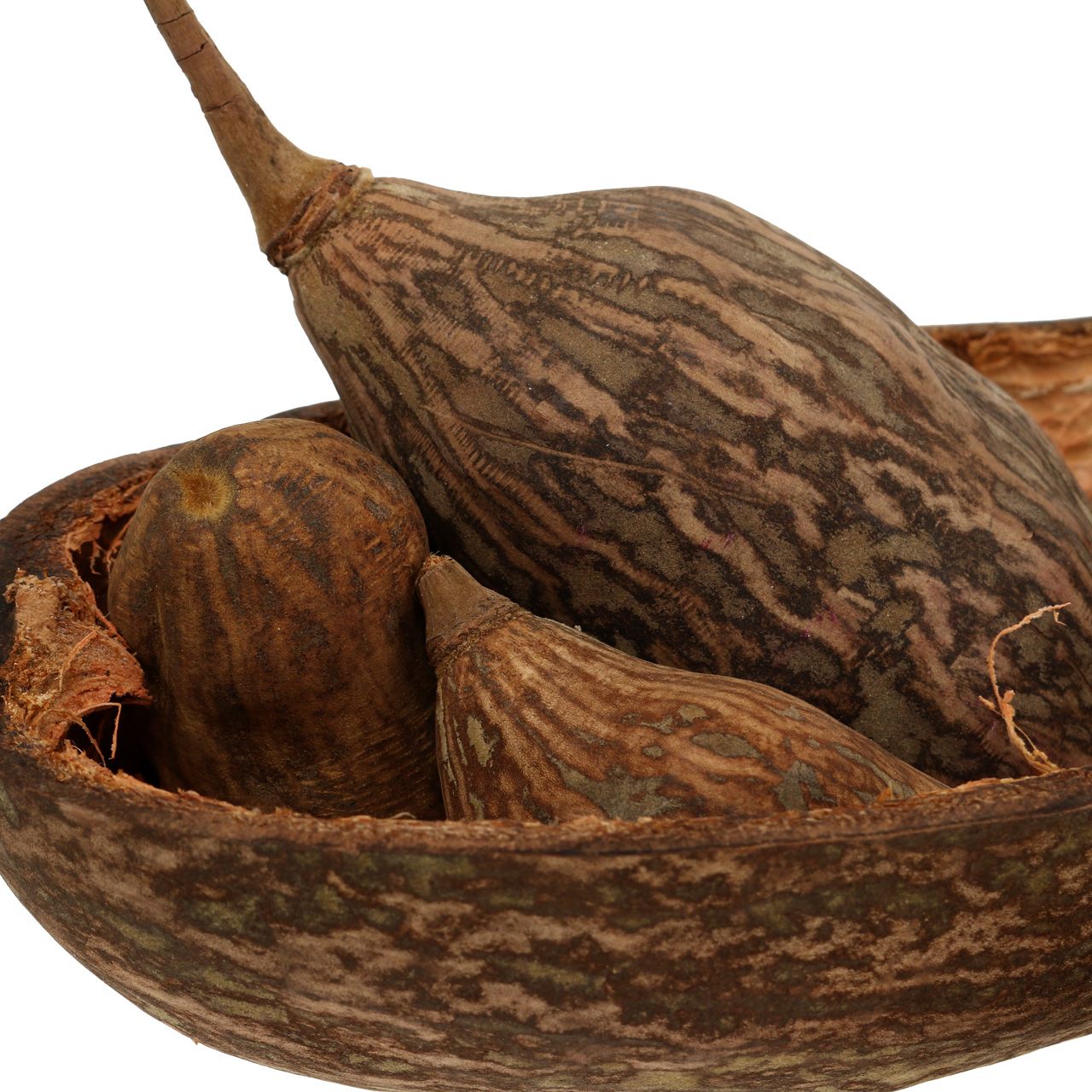 Floristik24.ie Baobab fruit mix with shell 300g-32197-095