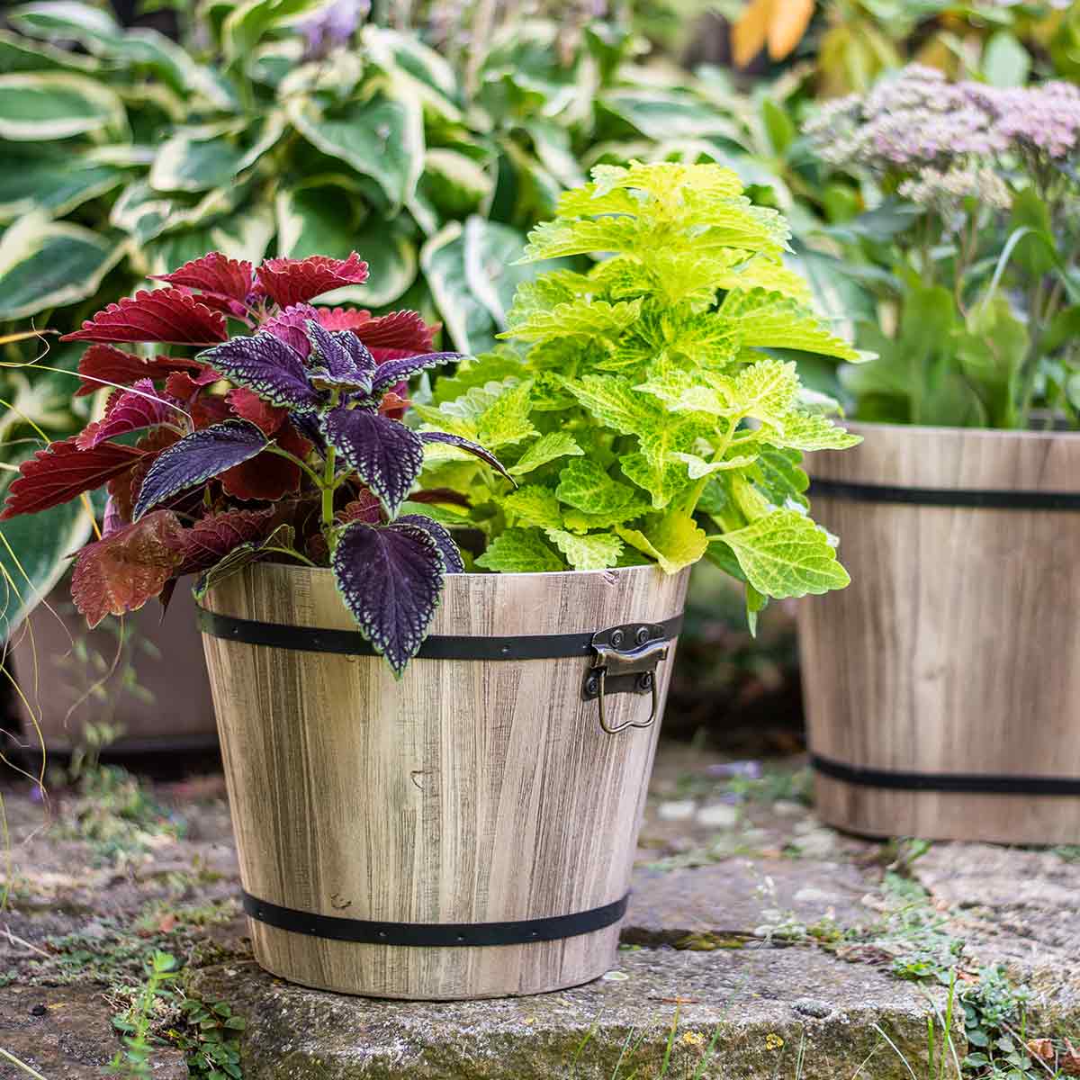 Floristik24.ie Wooden bucket planter wood country house style with ...