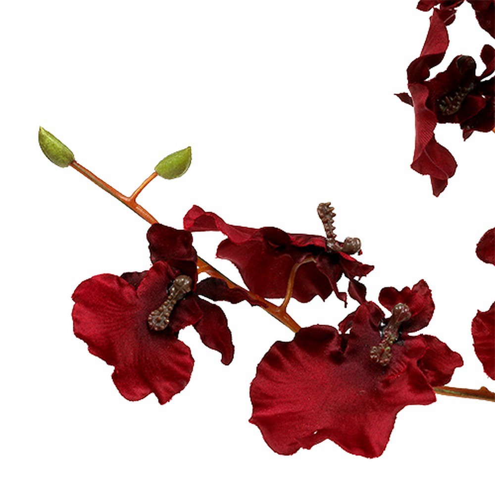 Floristik24.ie Orchid Oncidium 70cm dark red 3pcs - buy cheap online