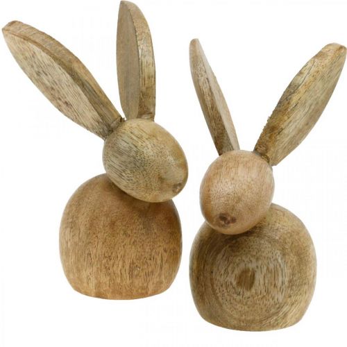Floristik24.ie Easter decoration bunny wood decoration sitting Easter ...