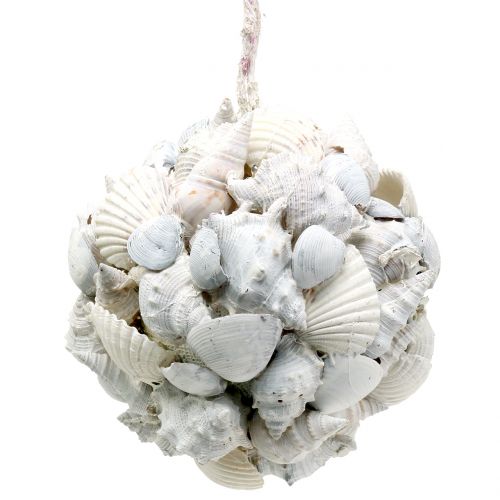 Floristik24.ie Shell Ball White Ø10cm