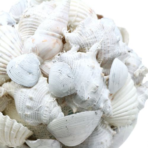 Floristik24.ie Shell Ball White Ø10cm